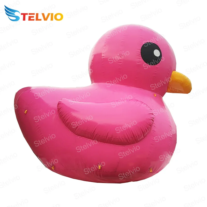 Pink Rubber Ducky