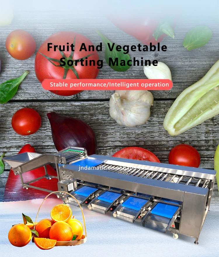 Damatic Grading Machine - Efficient Fruits & Veggies Sorter