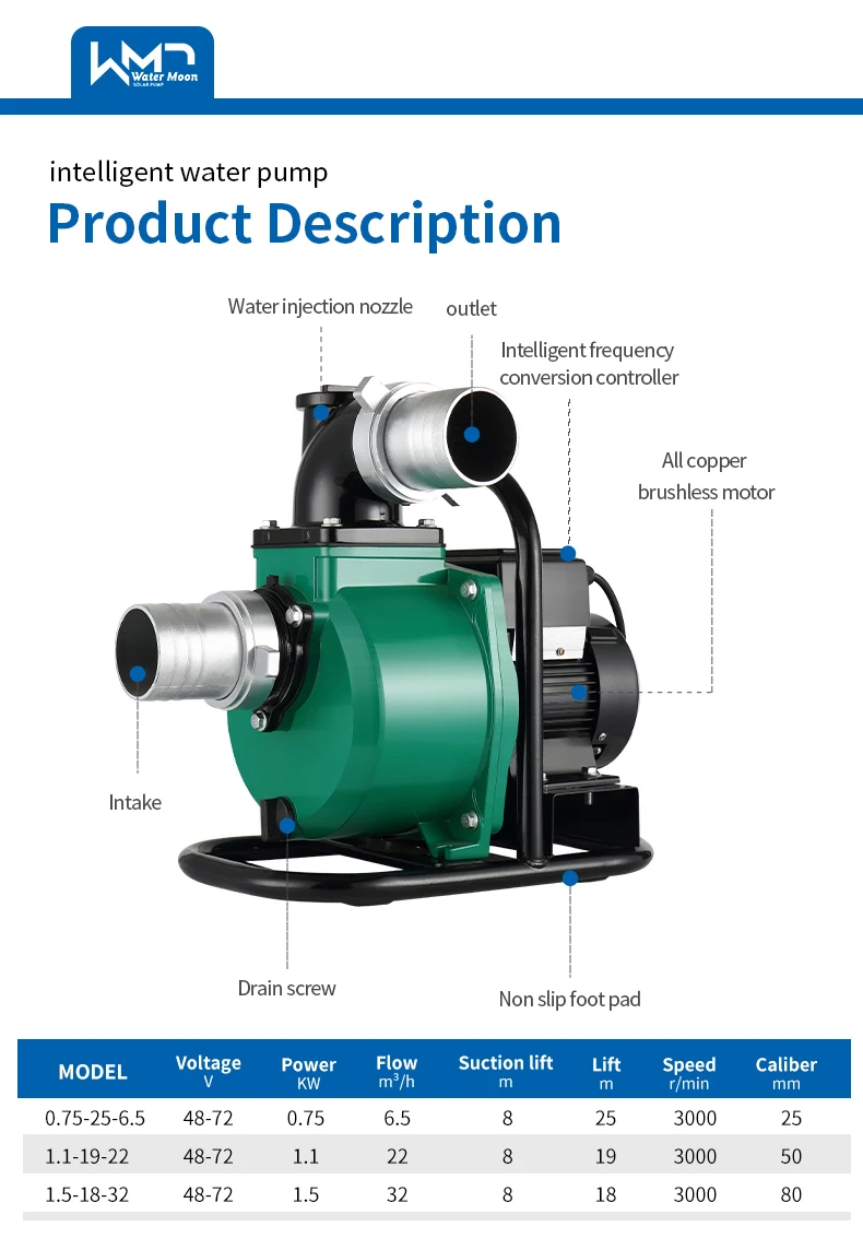 Moonpump 1100W DC Drip Irrigation Solar Water Pump for Agriculture