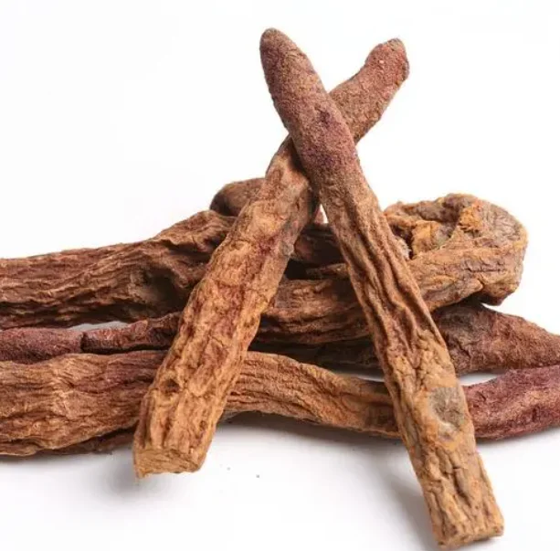 High Quality Songaria Cynomorium Herb Extract for Men's Health Products ...