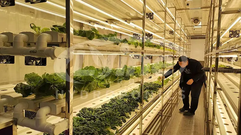 For Large Vertical Microgreen Farming System Stainless Steel Greenhouse ...