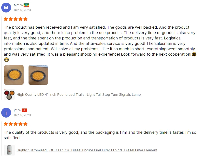 Best Price Truck Diesel Engine Fuel Filter 036530r1 84993233 P551866 ...