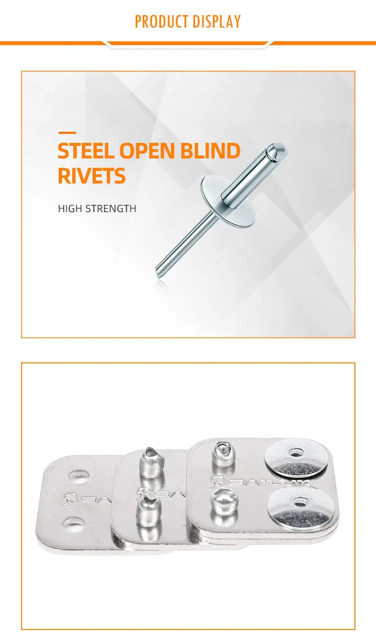 Customized Steel Large Head Blind Rivets - Durable & Versatile