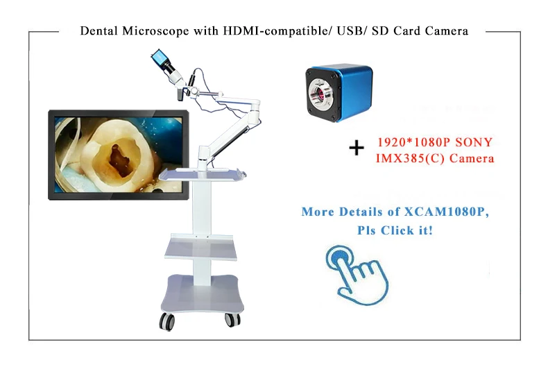 VMS102CD Dental Microscope - Trolley Type & LED Spot Light