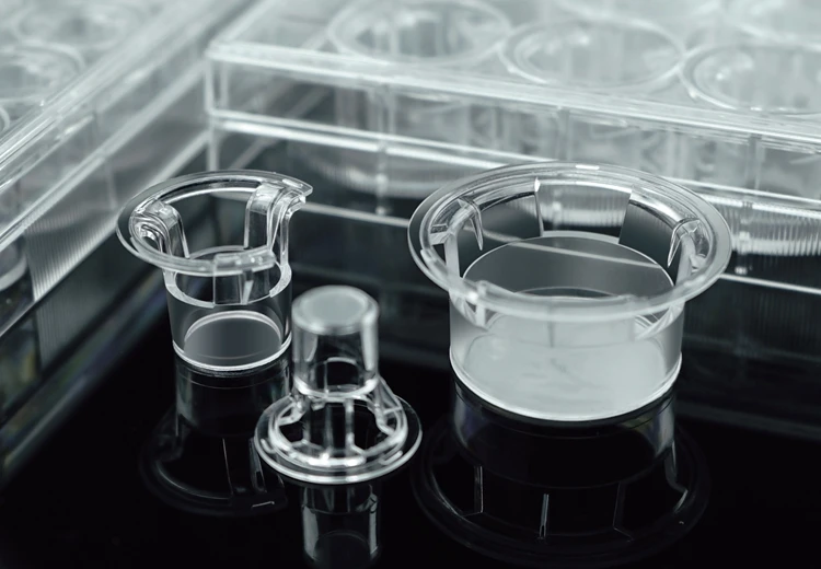 8um PET Membrane 12-Well Transwell Inserts for Cell Culture