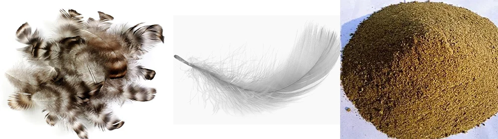 Hydrolyzed Feather Meal Machine - High Productivity & Quality