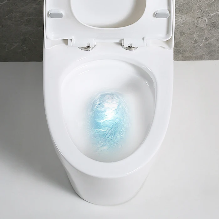 Ceramic Comodes - Dual-Flush Toilets for Modern Bathrooms