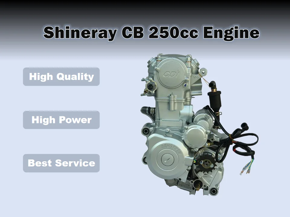 Shineray Cb 250cc Electric Start Water Cooled Reverse Engine Motor For ...