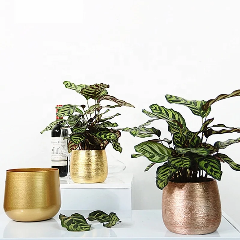 Decorative Metal Flower Pot - Iron Planter Pot Steel Bonsai Pot Gold