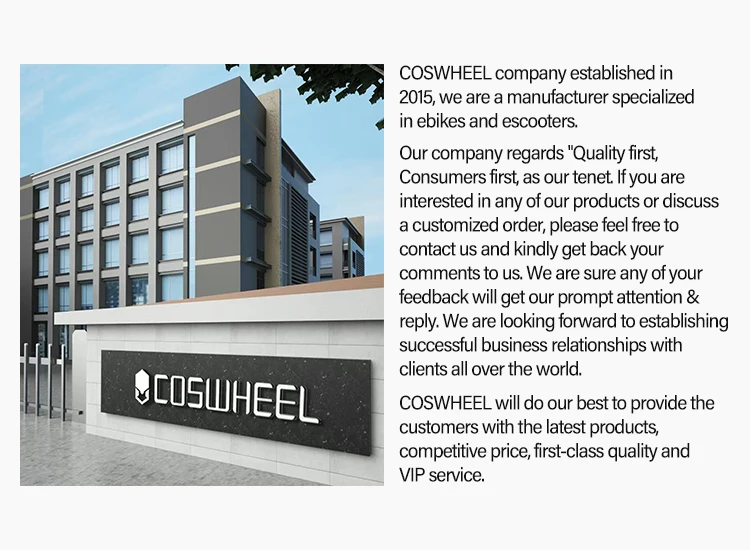 Free Shipping Coswheel T20 Electric E Bike 20 Inch Fat Tyre 10ah 15ah ...