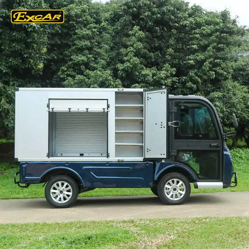Excar 2 Seats Electric Buggy Car Housekeeping Car With Cargo Box - Buy ...