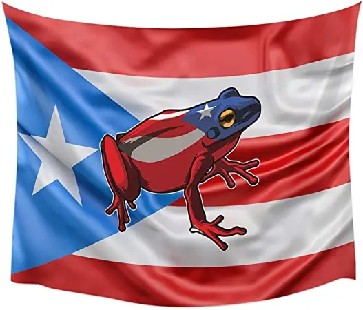 Puerto Rico Flag With Coqui