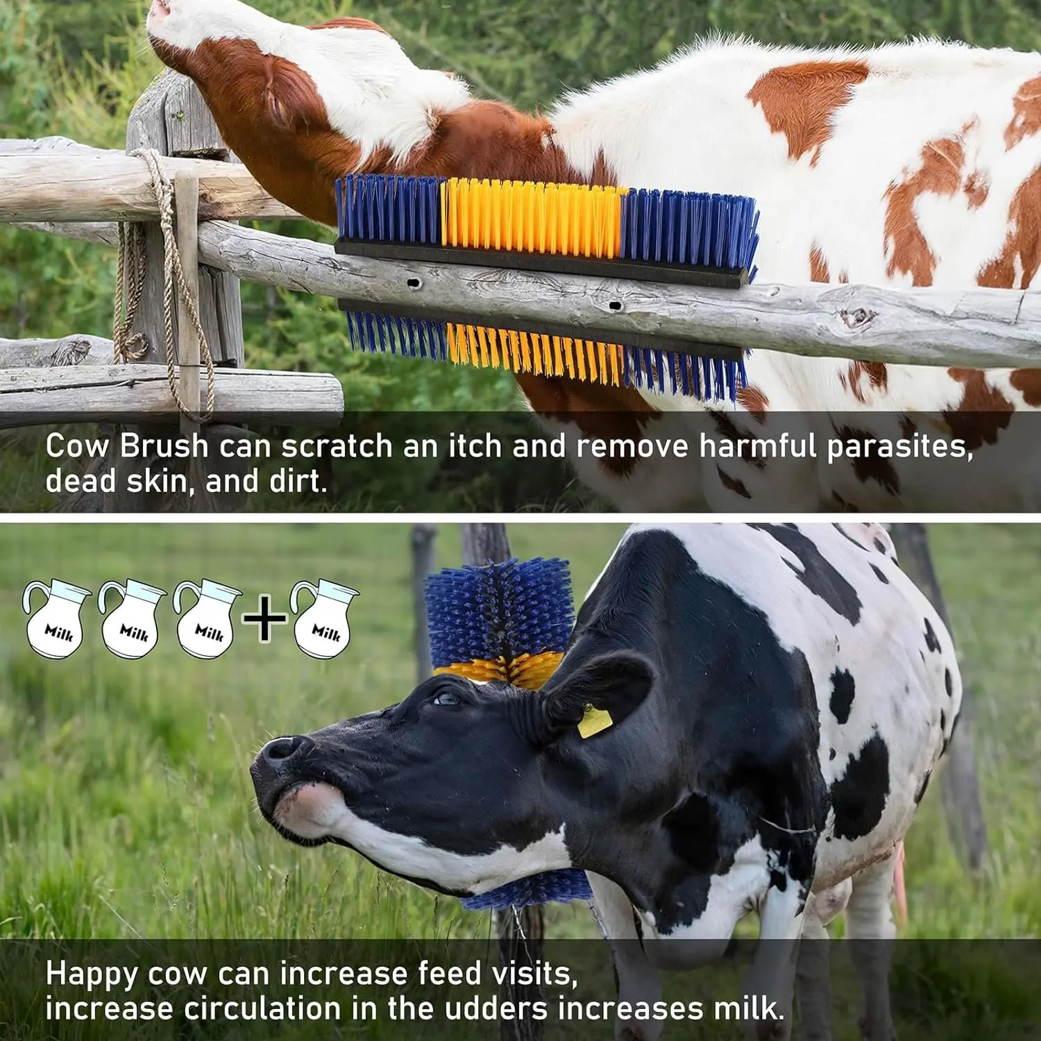 Half Round Husbandry Cow Brush Roller for Livestock Massage