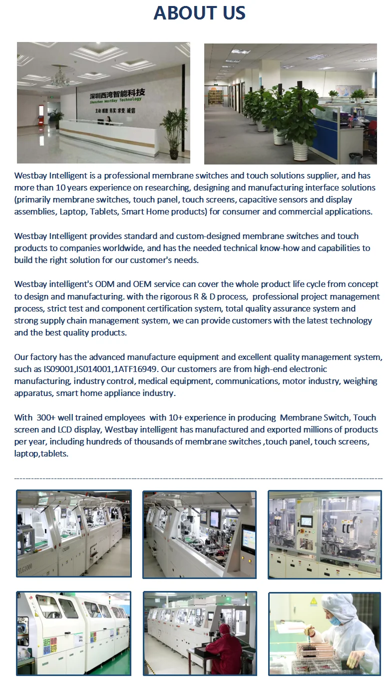 High Density Pressure Distribution Detection Sensor Array Fsr Pressure Sensor - Buy Pressure ...