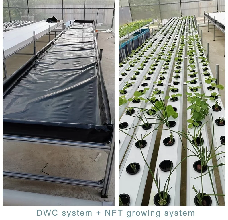 Omana Aquaponic Growing Systems Set Floating Rafts Foam Aquaponics ...