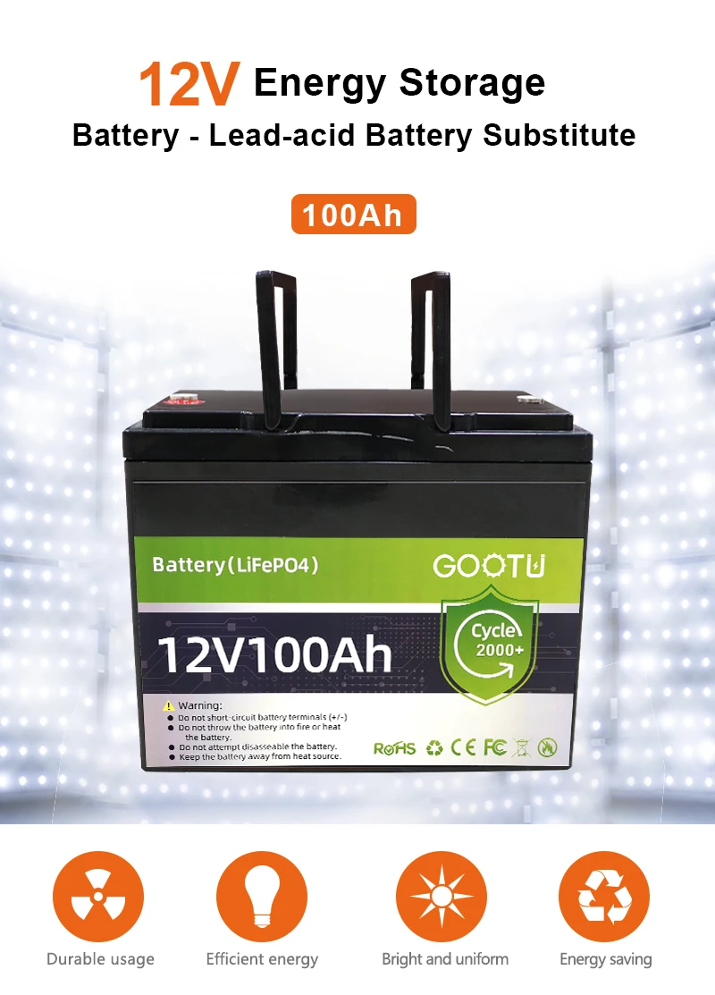 LiFePO4 Battery 6000 Times Cycle Grade a Battery Cell Built in BMS 12V ...