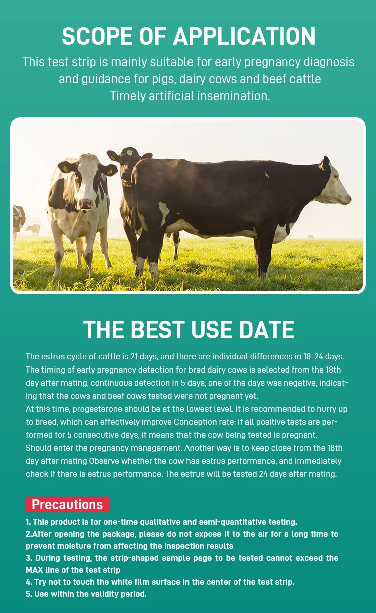 Cow Early Pregnancy Test Paper Bovine Pregnancy Test Kit Cattle ...