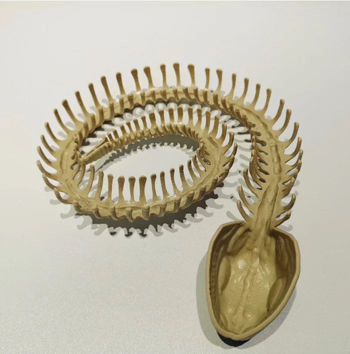 Haunted House Scary Props Snake Skeleton For Halloween Ornaments - Buy ...