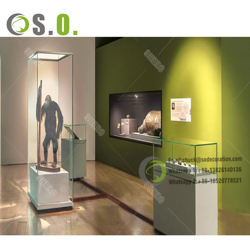 Led Lamp Museum Glass Display Cabinet Jewelry Store Wooden Frame ...