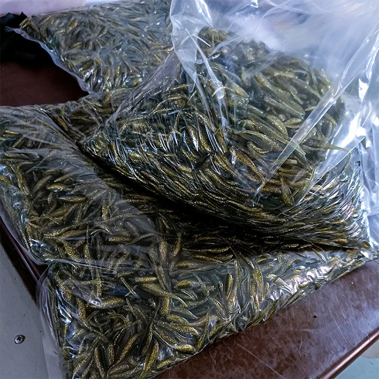 5cm 1g Tadpole Soft Bait Double Color Paddle Tail Pvc Polliwog Soft ...