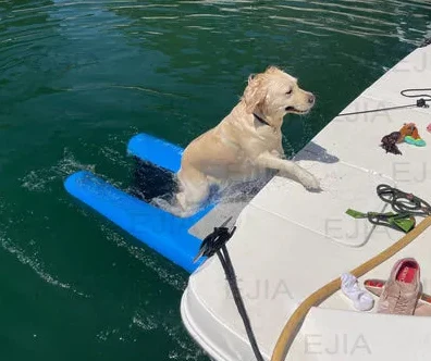 Original Inflatable Pup Plank Dog Ramp Water Dogs Play Pet Ramp Plank ...