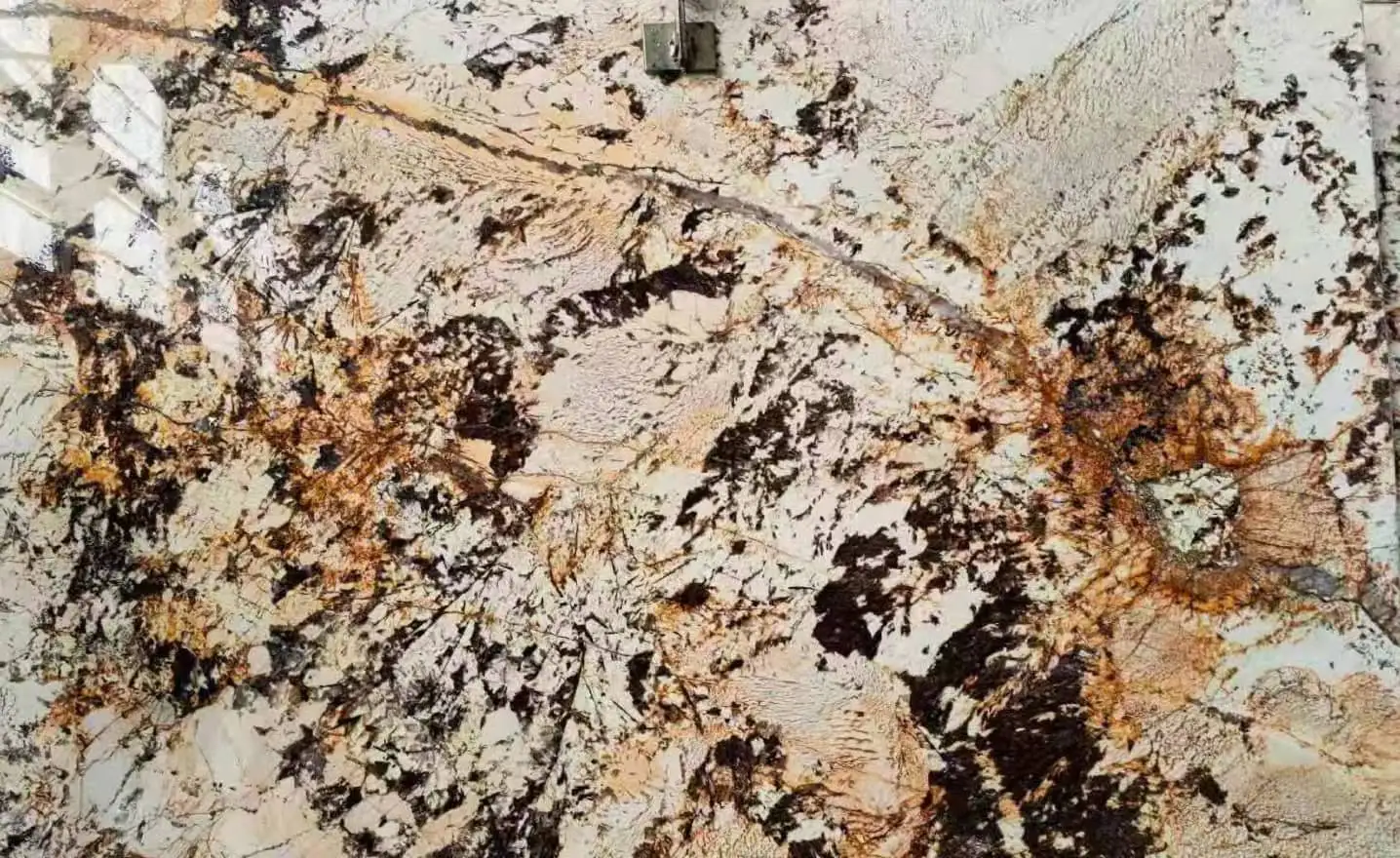 Persa Gold Granite Delicatus Brown Tiles - Modern Brazil