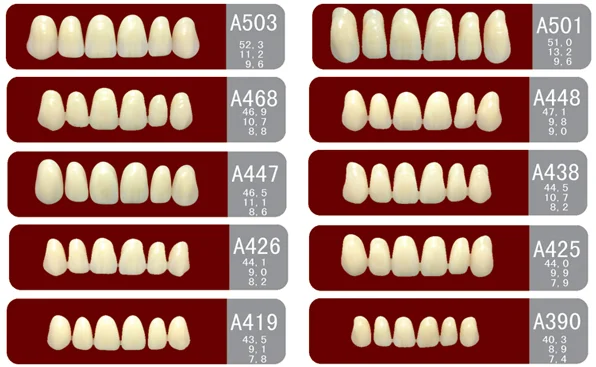 Dental Acrylic Resin Teeth - Durable & Natural-looking