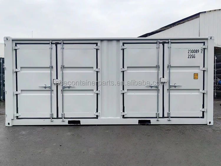 20ft Dry Cargo Container with Multi-Sided Doors - Corten Steel
