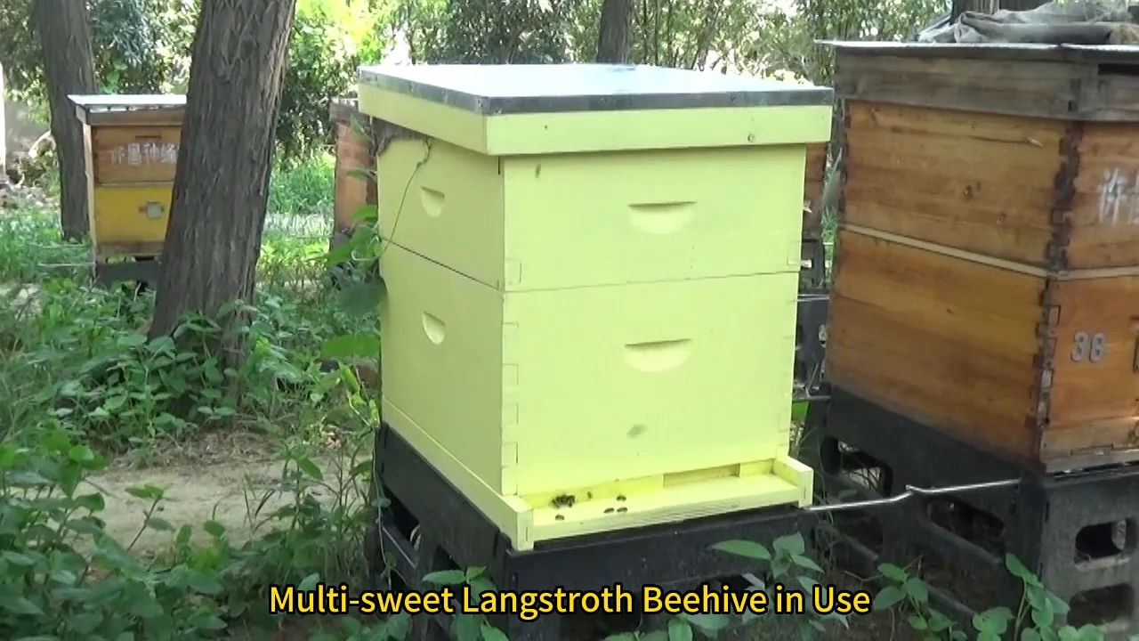 Factory Price Wooden Bee Hive Box Langstroth Beehive Honey Bee Hives ...