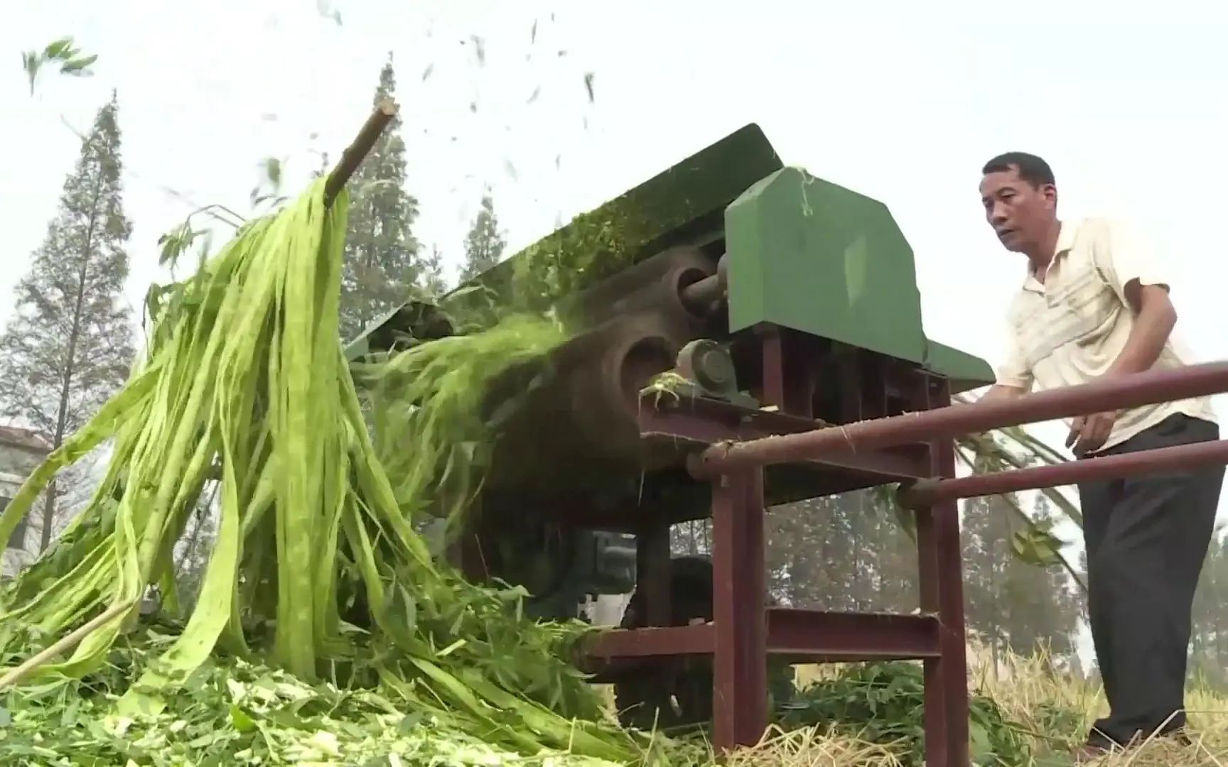 Hemp Fiber Decorticator - Efficient Skin Peeling Machine