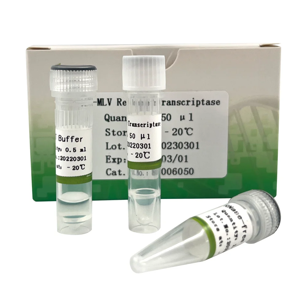 M-mlv Reverse Transcriptase For Cdna Library Construction Bind Cdna For Rt-pcr Reaction And Real ...