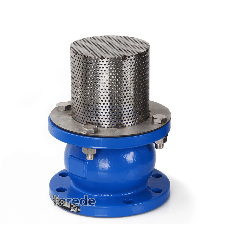Forede Flange End Foot Check Valve with Strainer - Durable & Efficient