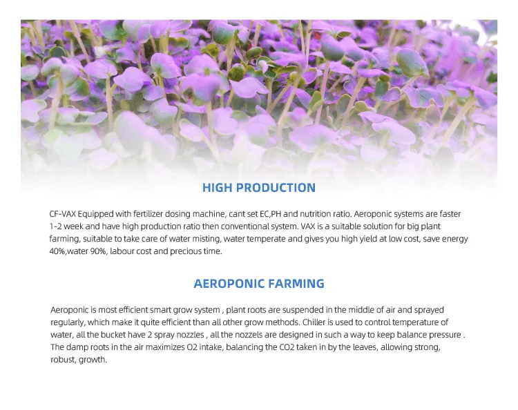 Vertical Farming Shipping Container Planting Auto Climate & LED Light ...