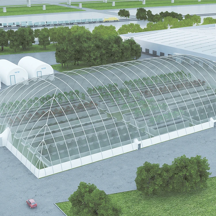 High Quality Air Membrane Agricultural Greenhouse