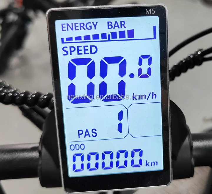 VOMO 2 Battery E-Bike Model - Rear Double Seate Ebike Motor Bicycle C80 MAX