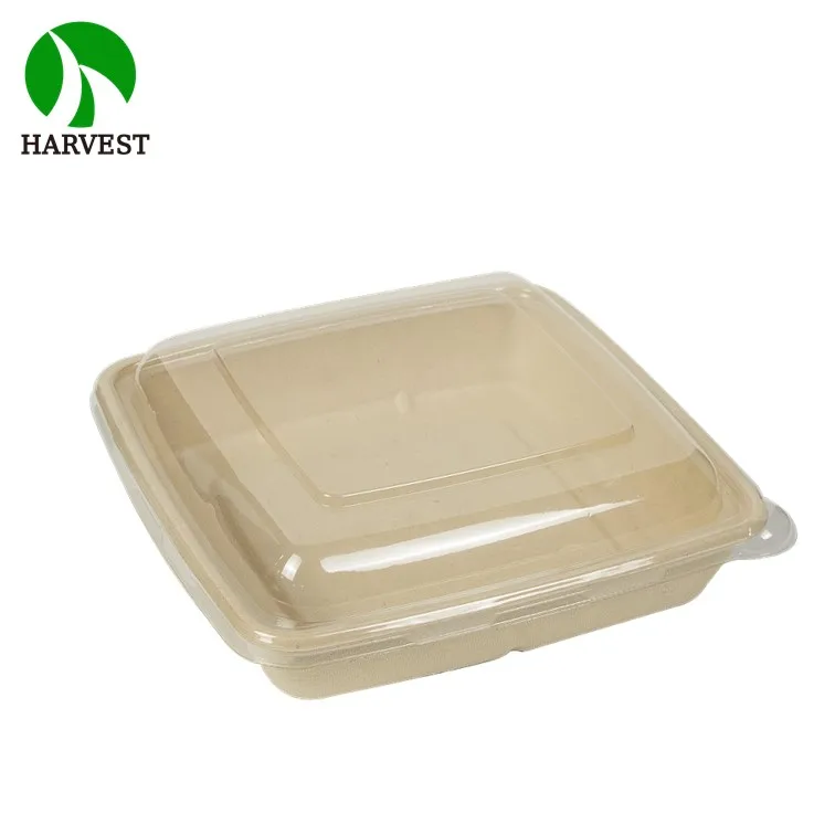 100 Compostable Paper Based Square Disposable Biodegradable Lunch Food ...