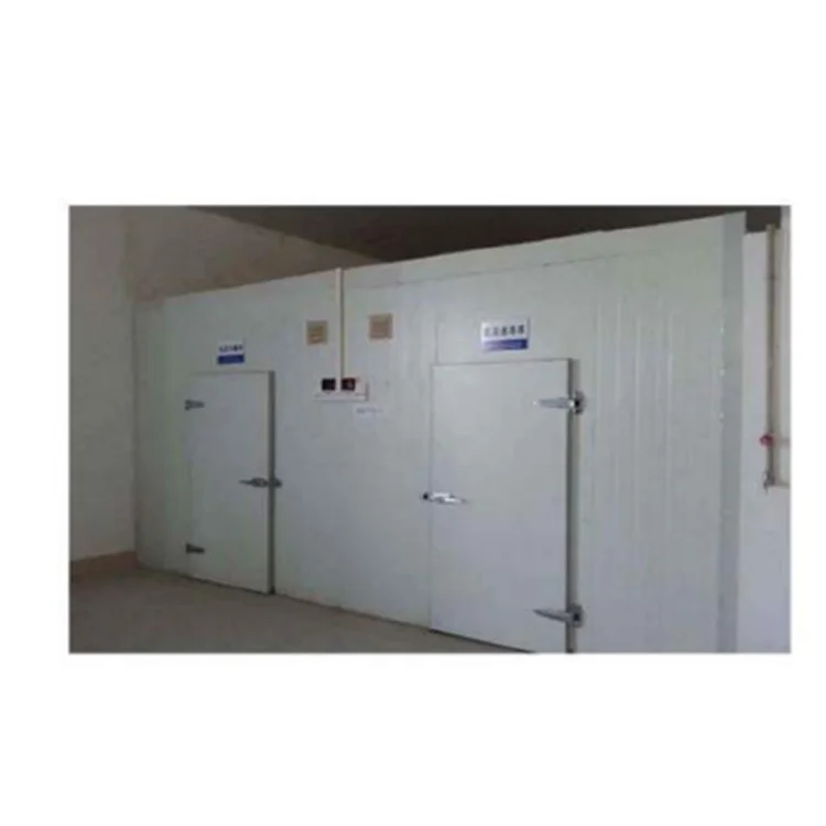 Cold Room Storage Blaster Walk in Freezer Room Freezer Cooler Room ...