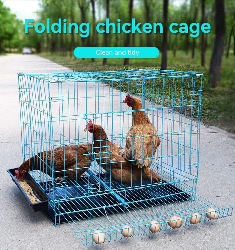 Egg Chicken Cage - Foldable Breeding Cages for Home Use