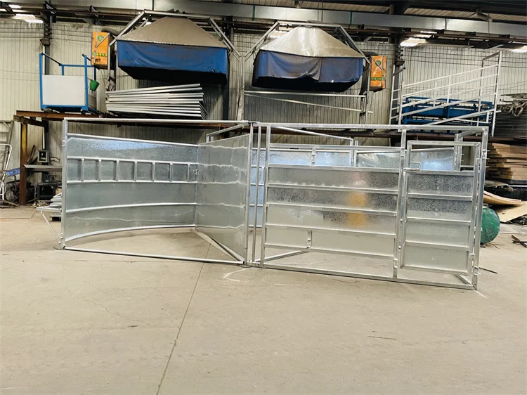 Curved Race Panels for Livestock Handling Cattle Fencing Trellis ...