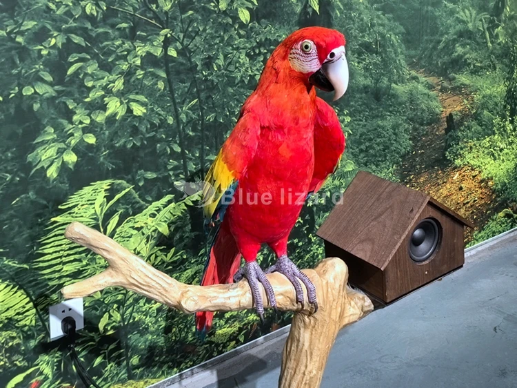 Animatronic Parrot for Indoor Parks - Blue Lizard Brand