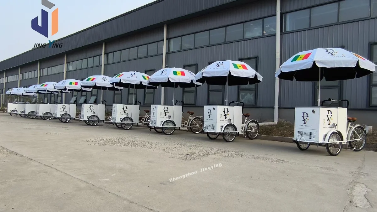 Cycle Trolley Hot Dog Cart Food Cart Stainless Steel Mobile Vending Ice ...