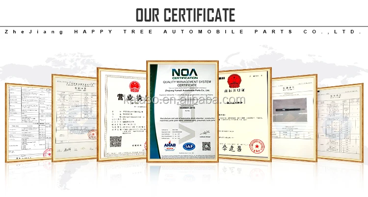 Kalaso Oil Seal Shock Absorber for Peugeot 3338003/333800