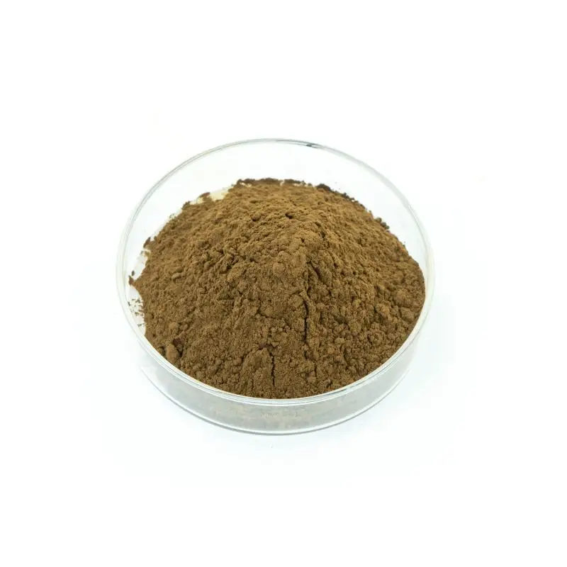Natural Senna Leaves Extract Powder Food Grade Herbal Extract ISO ...