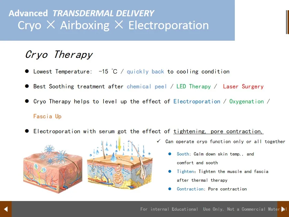 2024 Non Invasive Cryo Mesotherapy+air Gun/air Boxing Oxygenated ...