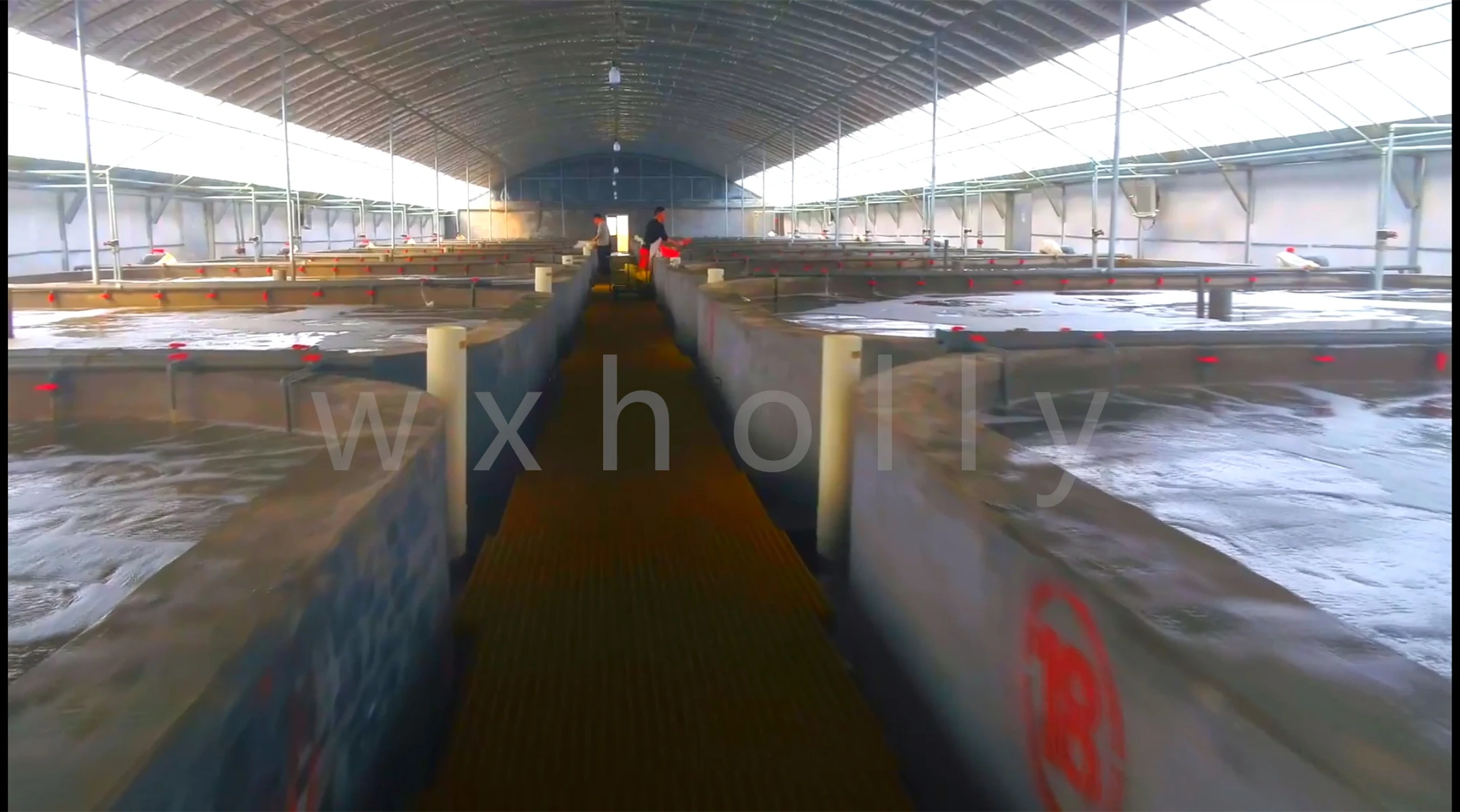 Fish Grader - Efficient Sorting for Fish Farming Ponds