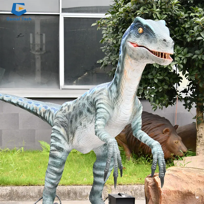 Nl-b014 Realistic Velociraptor Life Size Animatronic Dinosaur For Sale ...