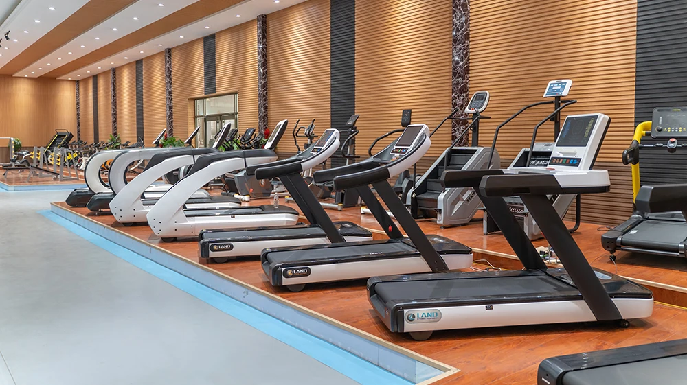 Professional Leg Press Machine Commercial Gym Equipment Plate Loaded ...