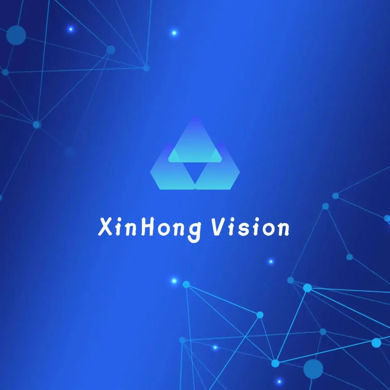 Company Overview - Wuhan Xinhongsheng Electronic Products Co., Ltd.