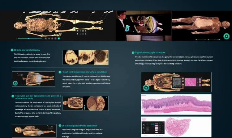 Human Virtual Anatomy Table - 3D Dissection for Medical Science