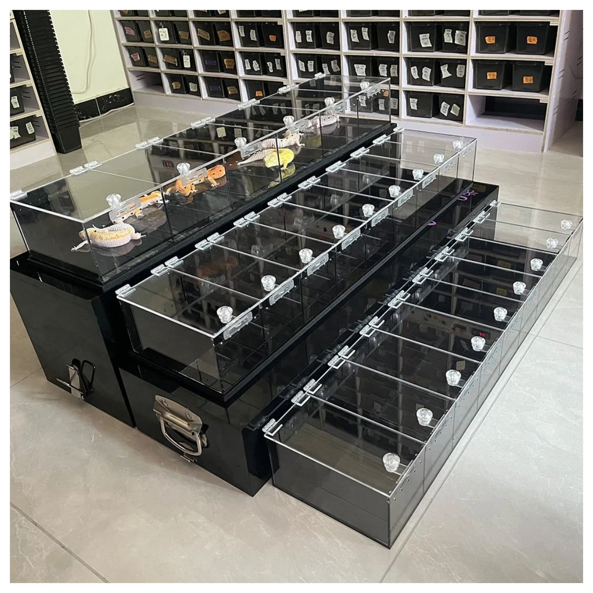 Animal Acrylic Transparent Display Stand Custom 3 Tier Tabletop Acrylic ...